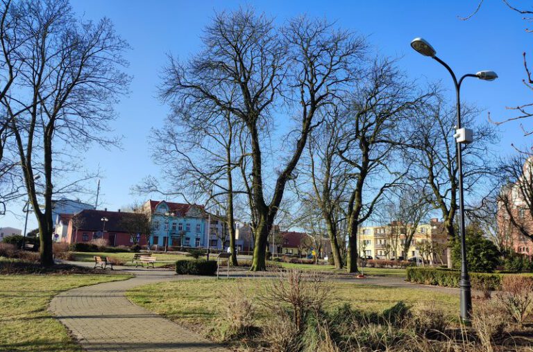 WITKOWO GM. WITKOWO. DZIEJE MIASTA I JEGO MIESZKAŃCÓW. - ziemia piastowska